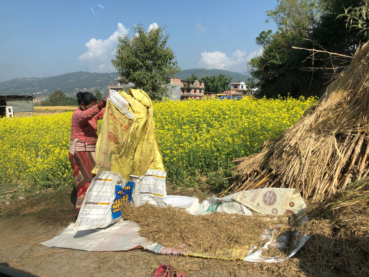 Chisapani Sundarijal Trekking from Kathmandu